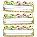 Amazon.com: Pack of 50 Hot Air Balloon Style Nameplates for Student ...