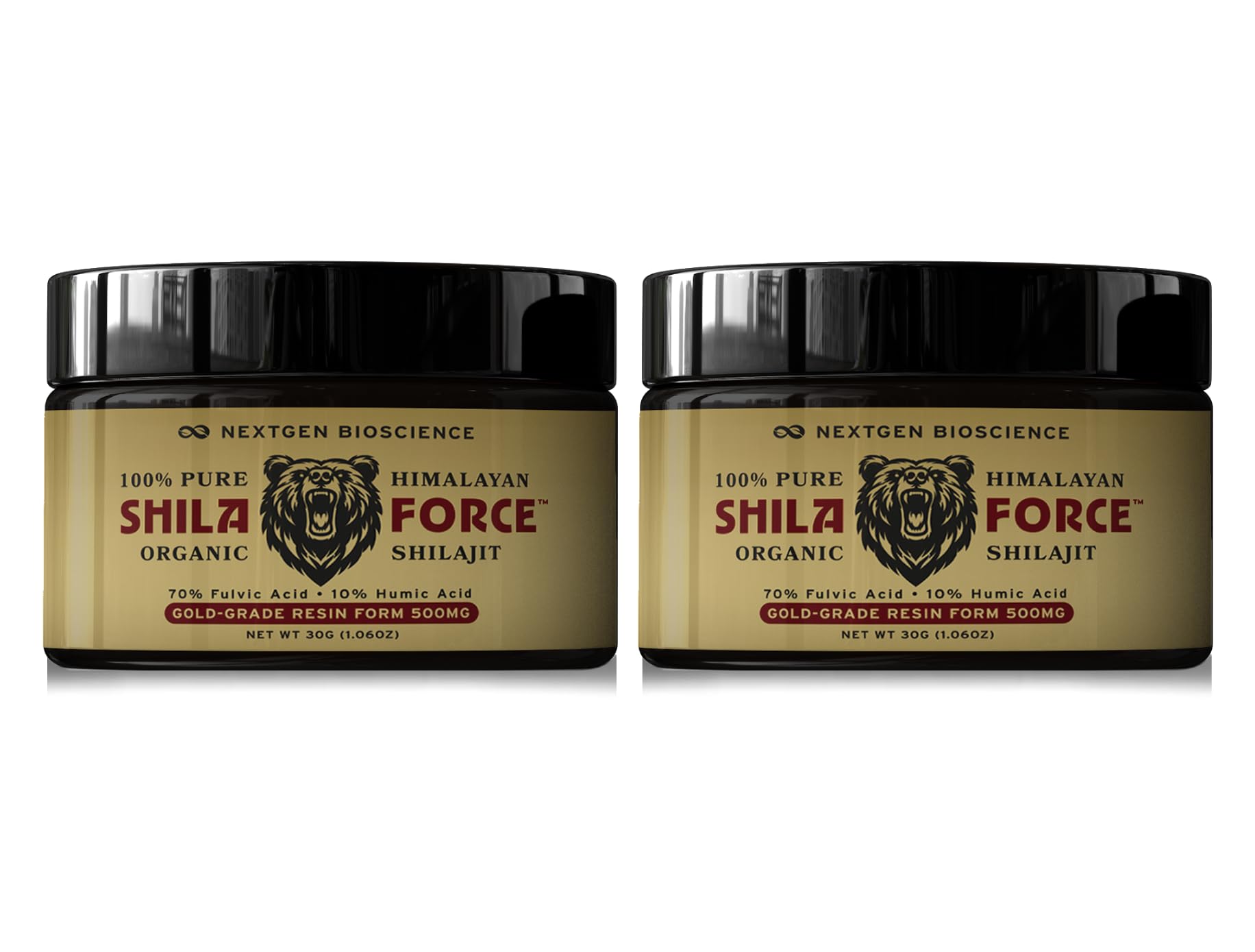 Amazon.com: ShilaForce Shilajit (2-Pack) Pure Gold-Grade Wild-Harvested ...