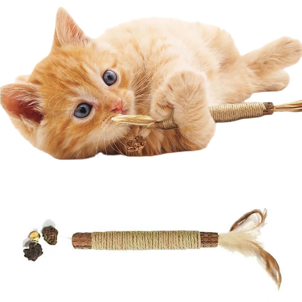 Amazon.com : Silvervine Sticks for Cats,Cat Chew Toy for Dental Care ...