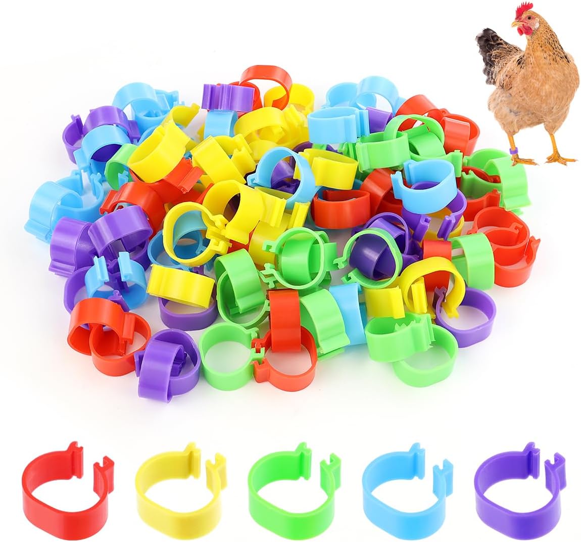 Amazon.com : 50 Pack Spiral Chicken Poultry Leg Bands Rings - #11 11/16 ...