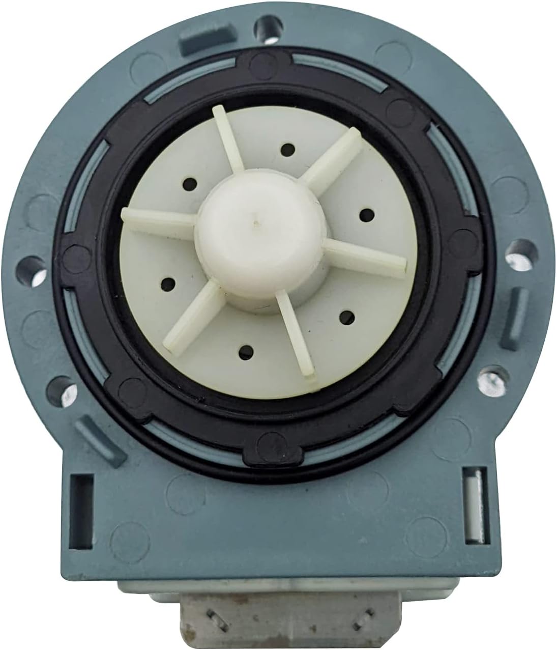 Amazon.com: Washing Machine Drain Pump Suitable for Midea Little Swan ...