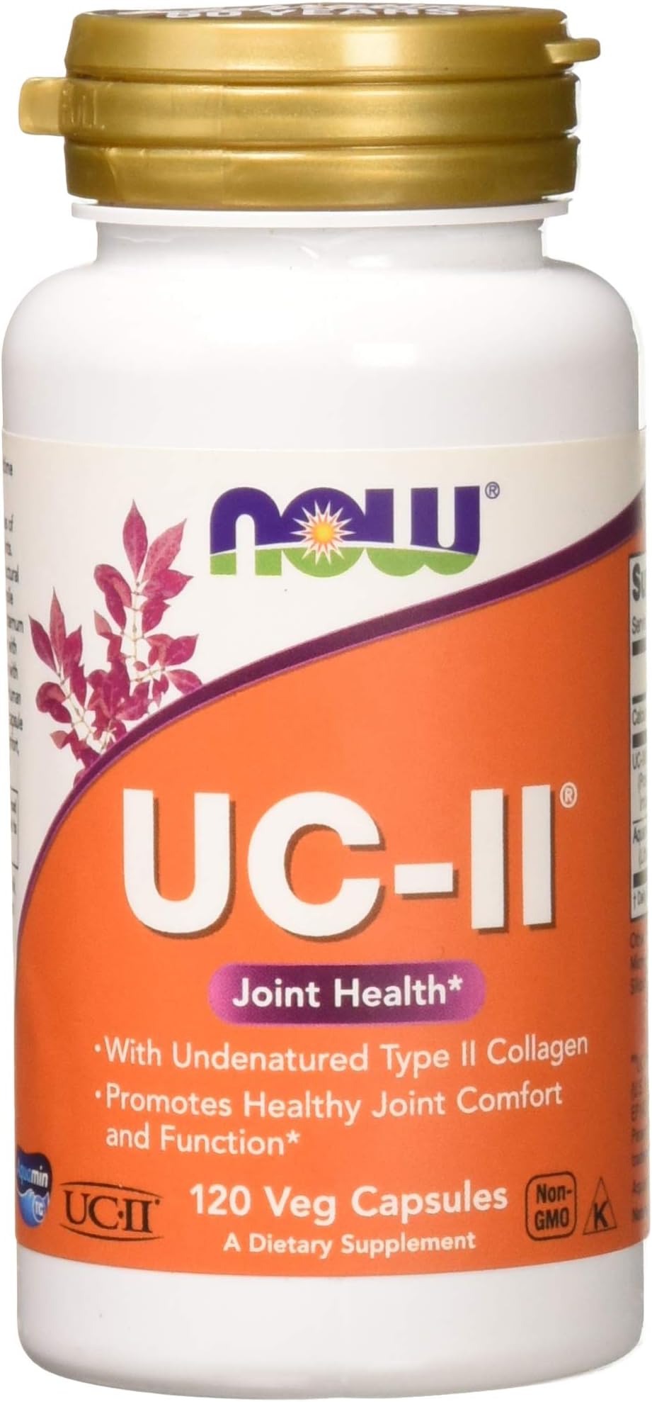 Amazon.com: NOW Supplements, UC-II Type II Collagen, 120 Veg Capsules ...