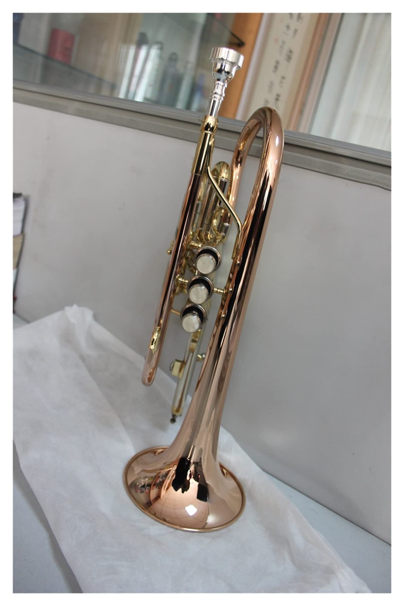 FLFL Student Trumpet Lacquered Gold Charger Assembled Number Step Brass ...