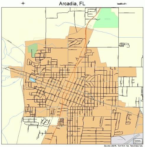 Amazon.com: Large Street & Road Map of Arcadia, Florida FL - Printed ...