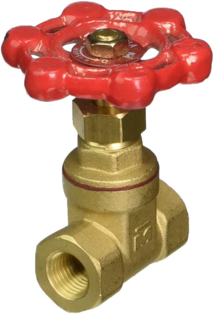 B and K Industries 100-001 1/4-Inch IPS 200 PSI Gate Valve : Amazon.co ...