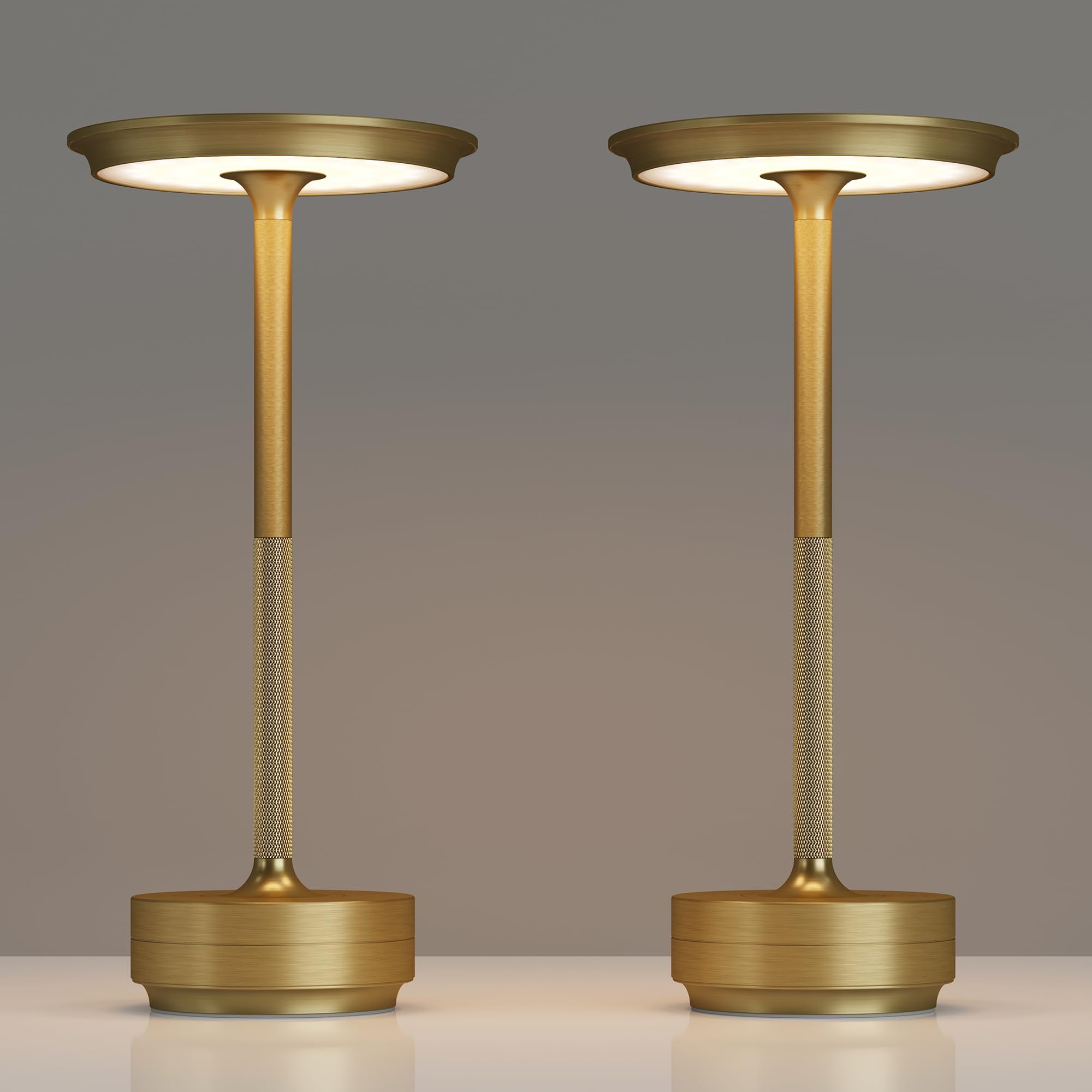 10 Pack - Silver Rechargeable Cordless Table Lamps, Portable LED Desk ...