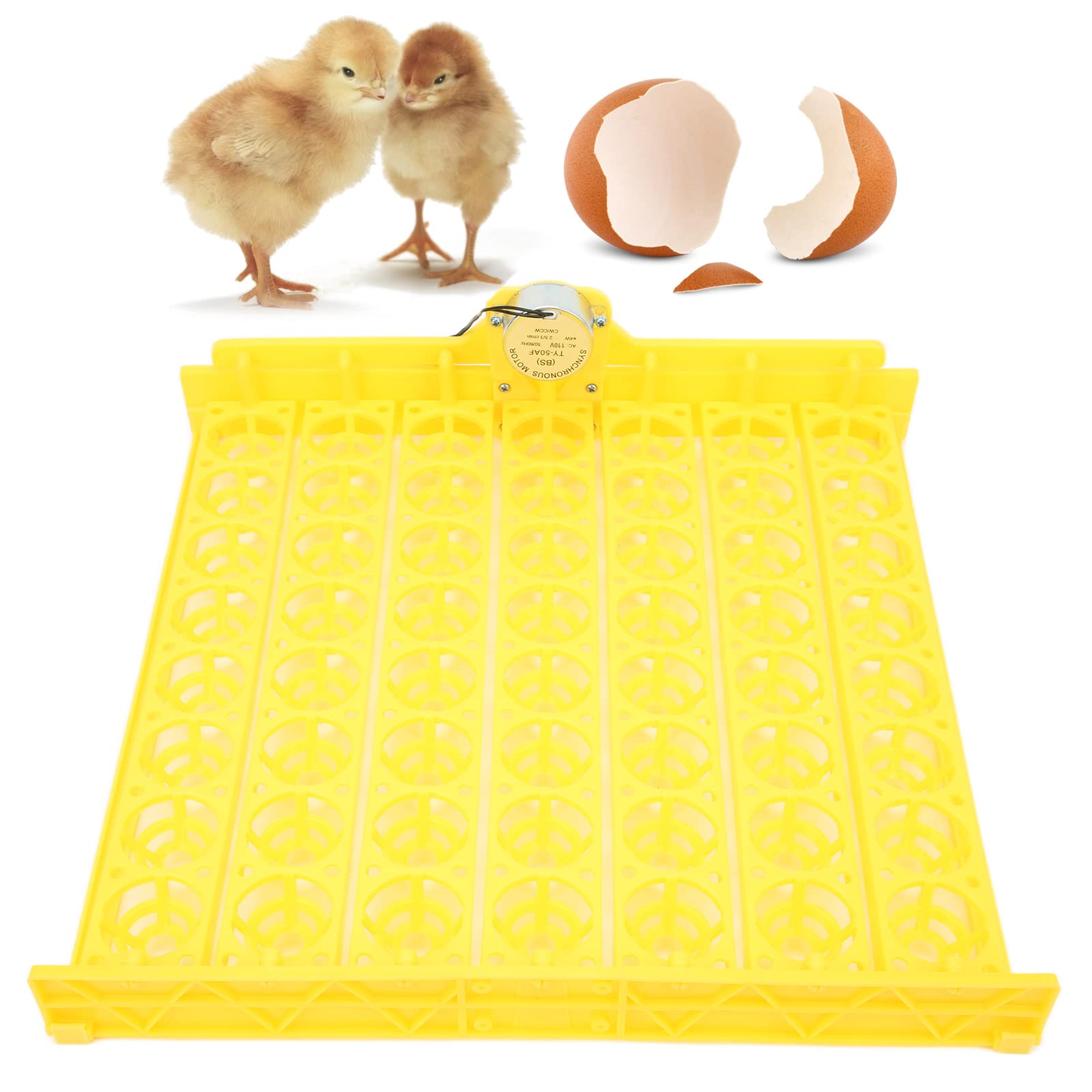 Amazon.com : Zerodis Automatic Egg Turner, 110V Swing Around 45 Degrees ...