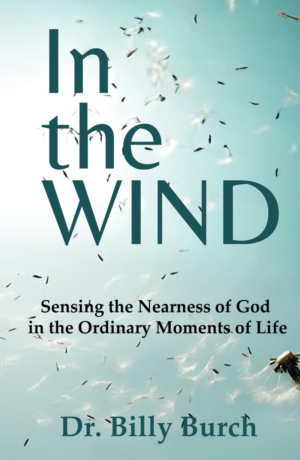 In the Wind: Sensing the Nearness of God in the Ordinary Moments of ...
