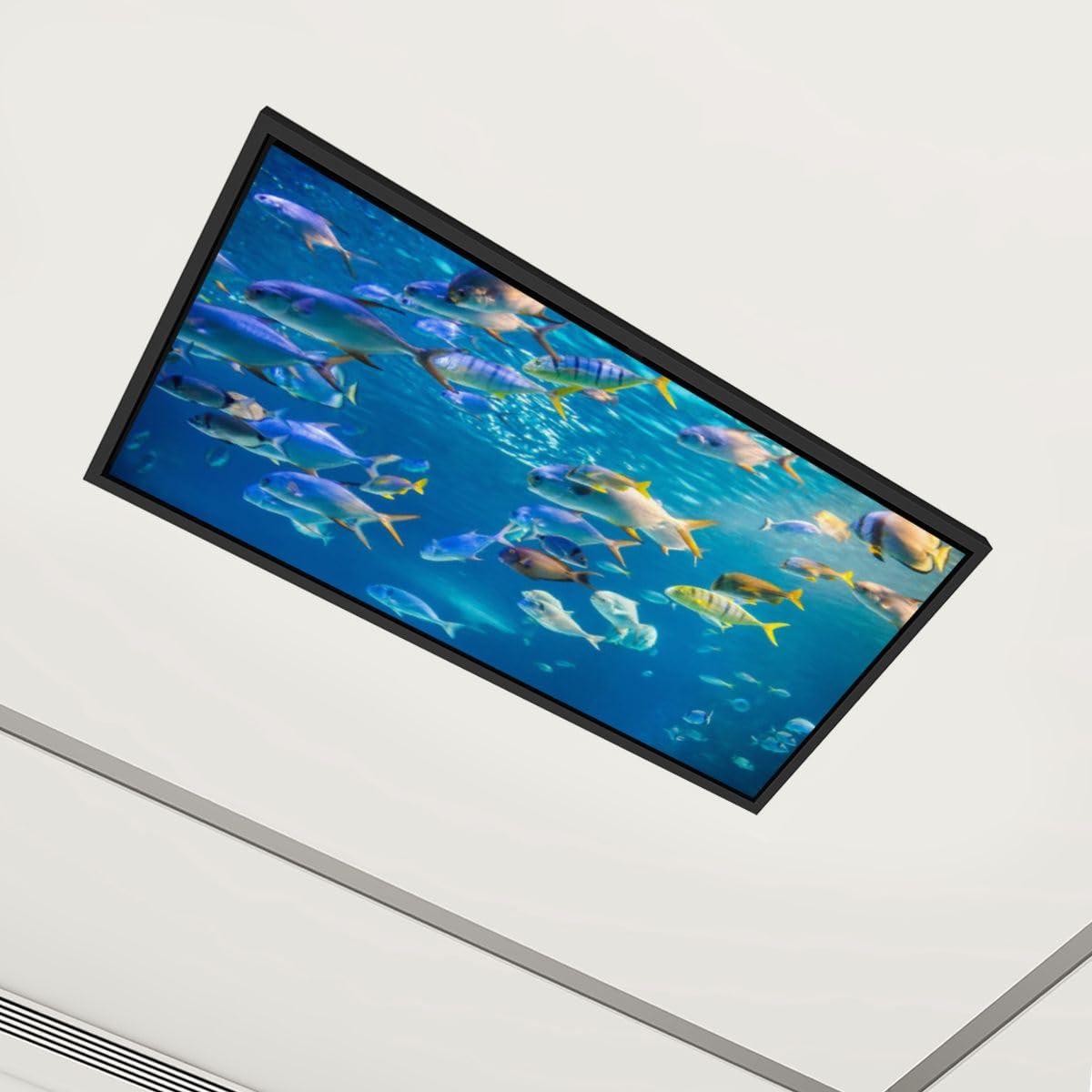 School Of Fish Light Fixture 2PCS Fluorescent Light Covers For