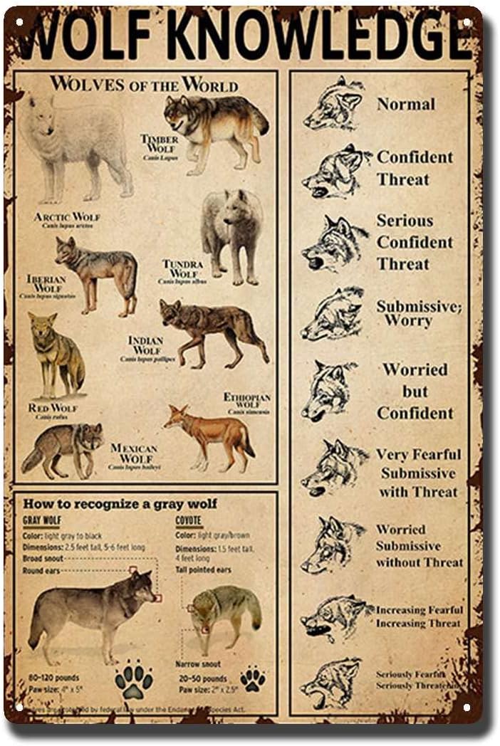 YLUYINOM Tin Metal Signs Wolf Knowledge Poster, Types of Wolf Poster ...
