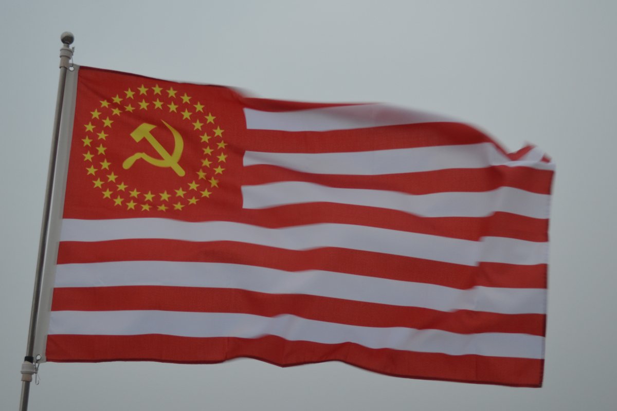 Socialist American Flag