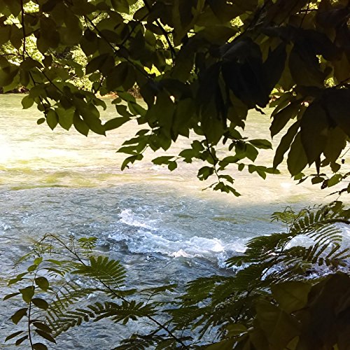 Amazon.co.jp: Jesus You Are With Me : Jan Boyle: Digital Music