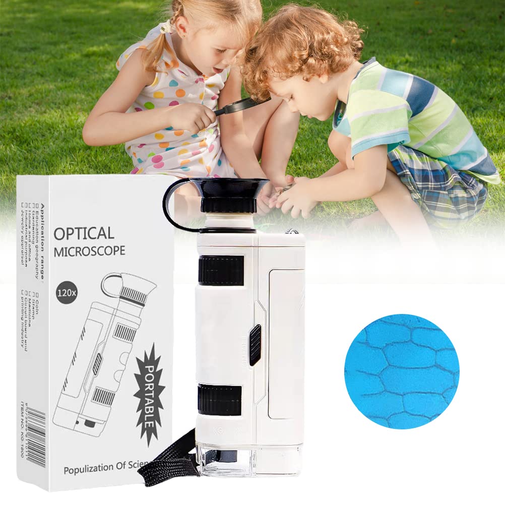 Buy Pocket Micro Kids, 100x Magnification Handheld Micro with LED Light ...
