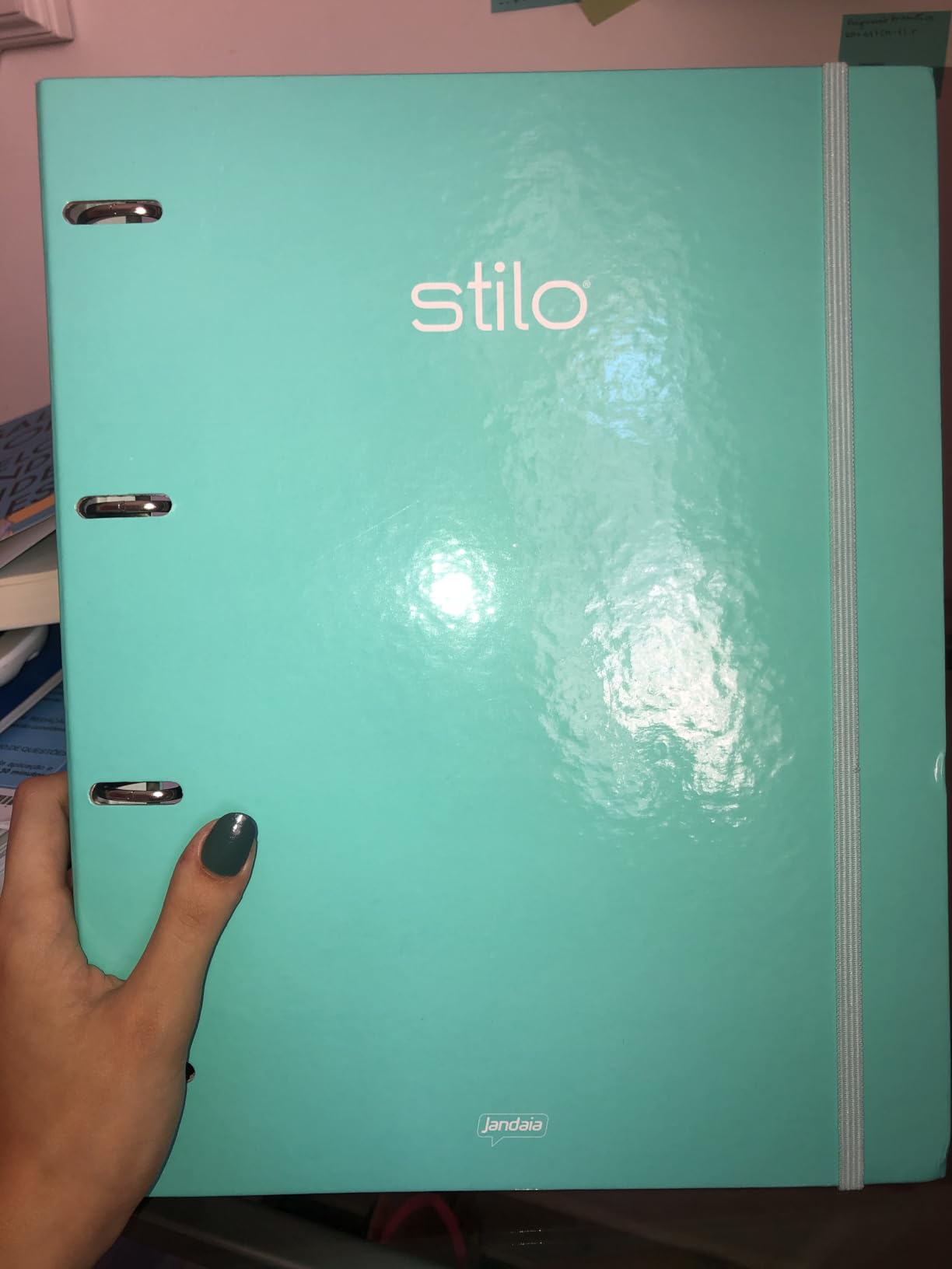Caderno Argolado Univ 80 Fls Stilo Verde Jandaia | Amazon.com.br