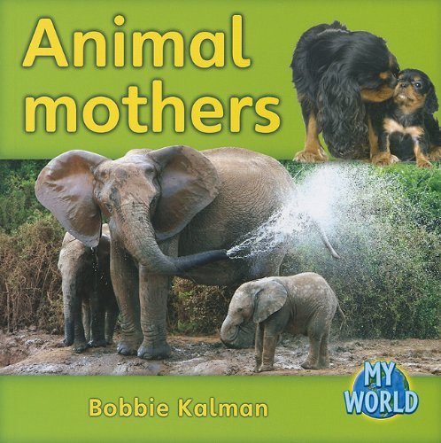 Animal Mothers : Buy Online at Best Price in KSA - Souq is now Amazon ...