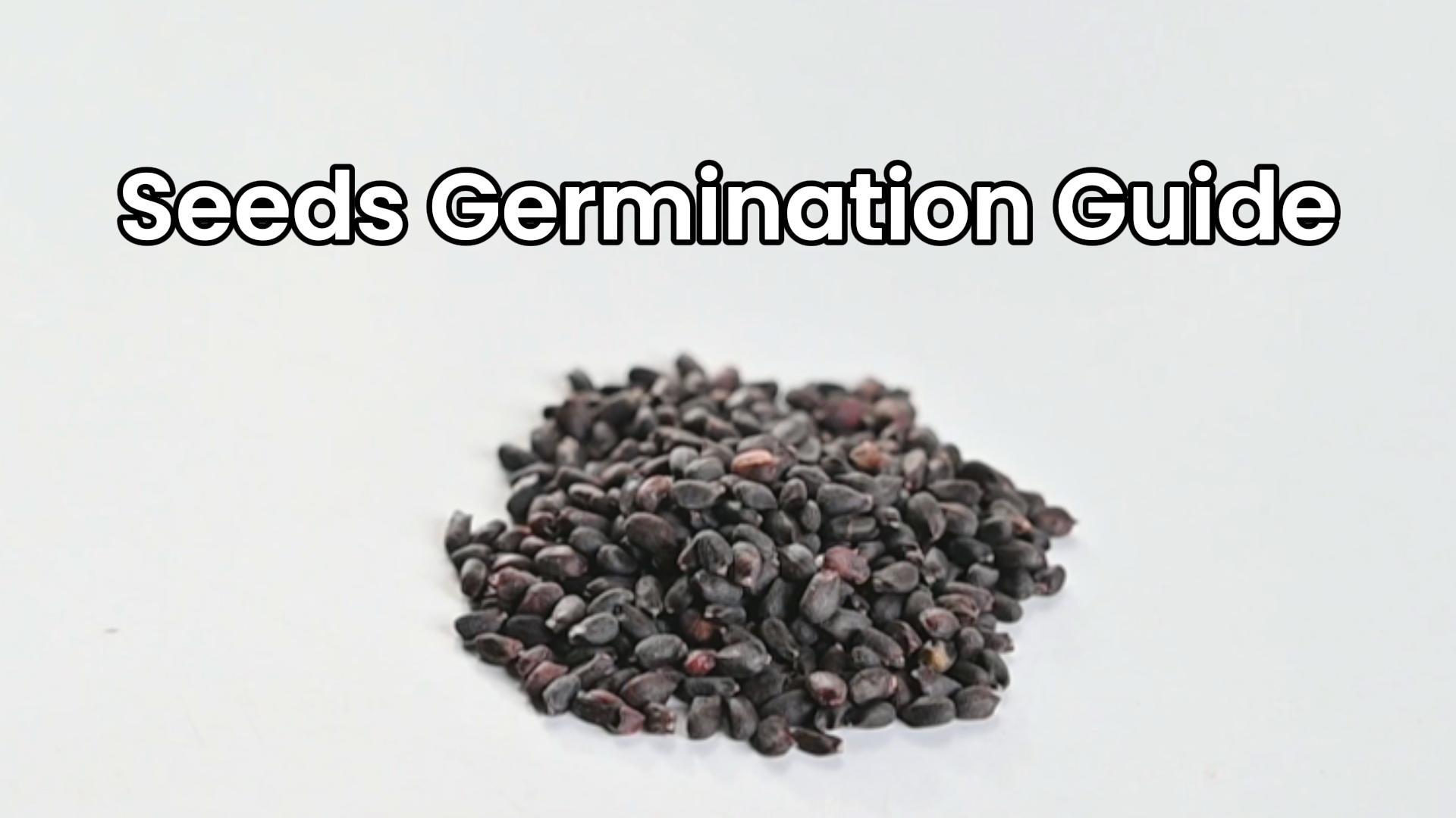 Watch How to Get High Germination Rate on Amazon Live