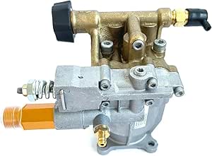 Amazon.com : DXPW3025 3000 PSI Pressure Washer Pump 3/4 Shaft New Free ...