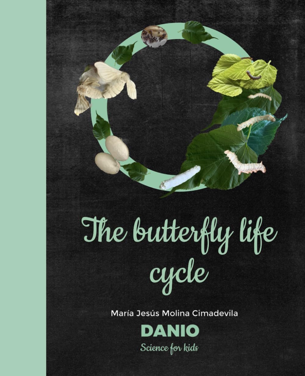 The butterfly life cycle: The story of Bombyx mori: Danio Science for ...