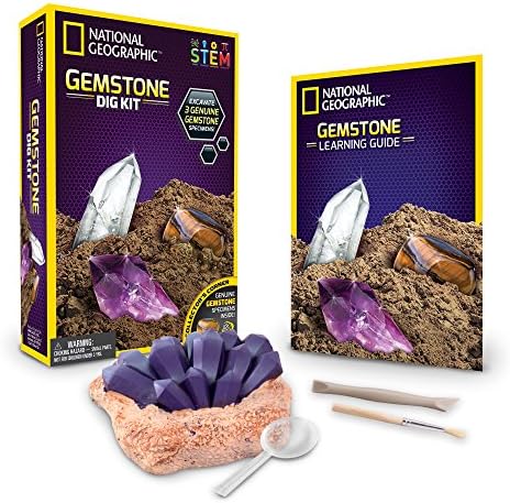 National Geographic Gemstone Dig Kit : Amazon.ae: Videogames