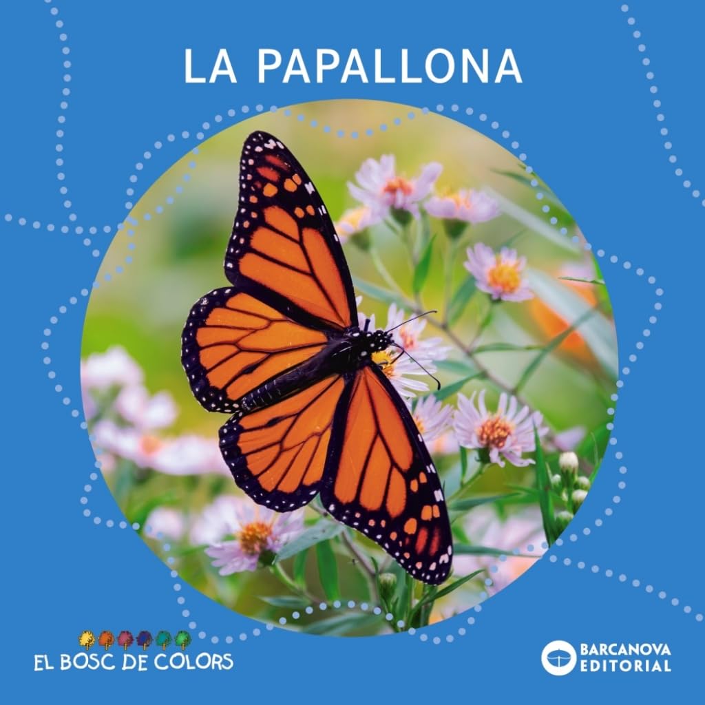 La papallona (Llibres infantils i juvenils - El bosc de colors) : Baldó ...