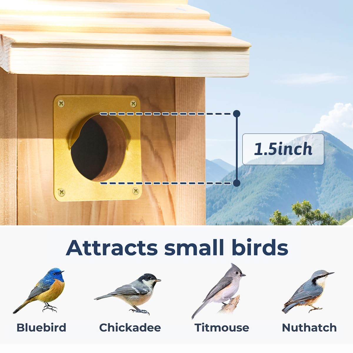 Snapklik.com : Clasy Bluebird Bird Houses For Outside - XL Size Alaskan ...