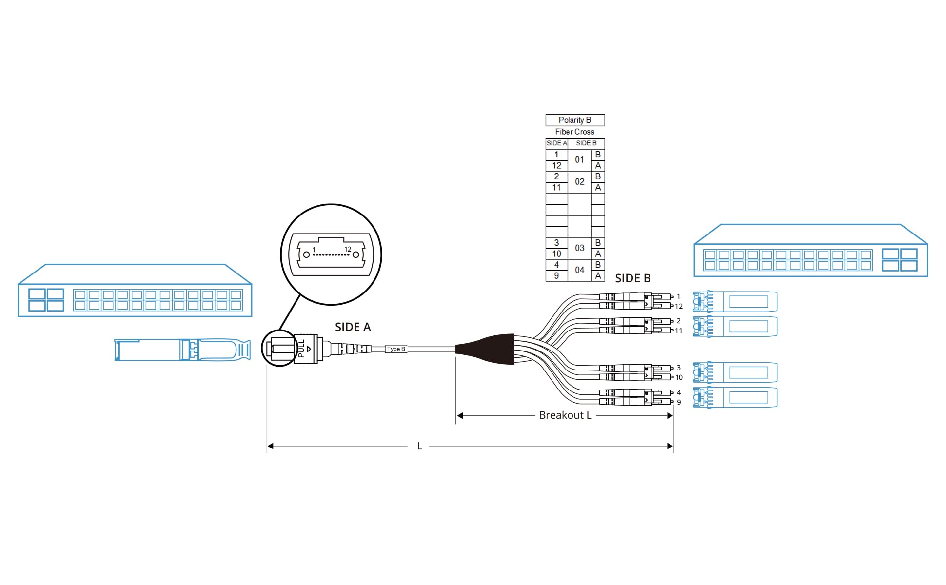 Snapklik.com : 10Gtek Fiber Optic Cable Patch Cord - MPO To 8X LC ...