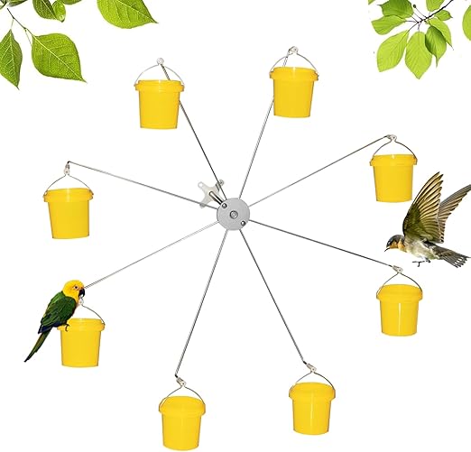 Amazon.com : rozuka Hummingbird Feeder, Easy Clean and Fill for Wall ...