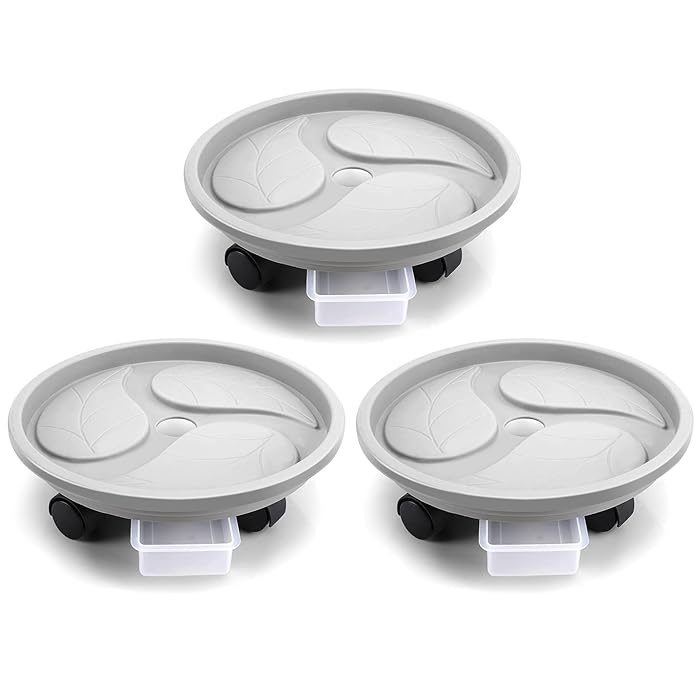 Buy Looca Plant Caddy with Wheels and Drainage Tray, 13”Rolling Plant ...