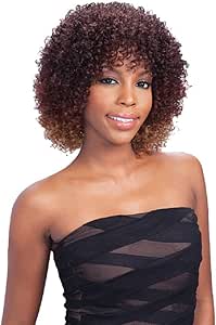 NENE - Shake N Go Freetress Equal Lace Front Synthetic Hair Wig ...