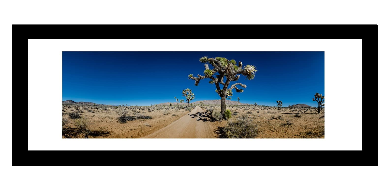 Panoramic Frames 12x36