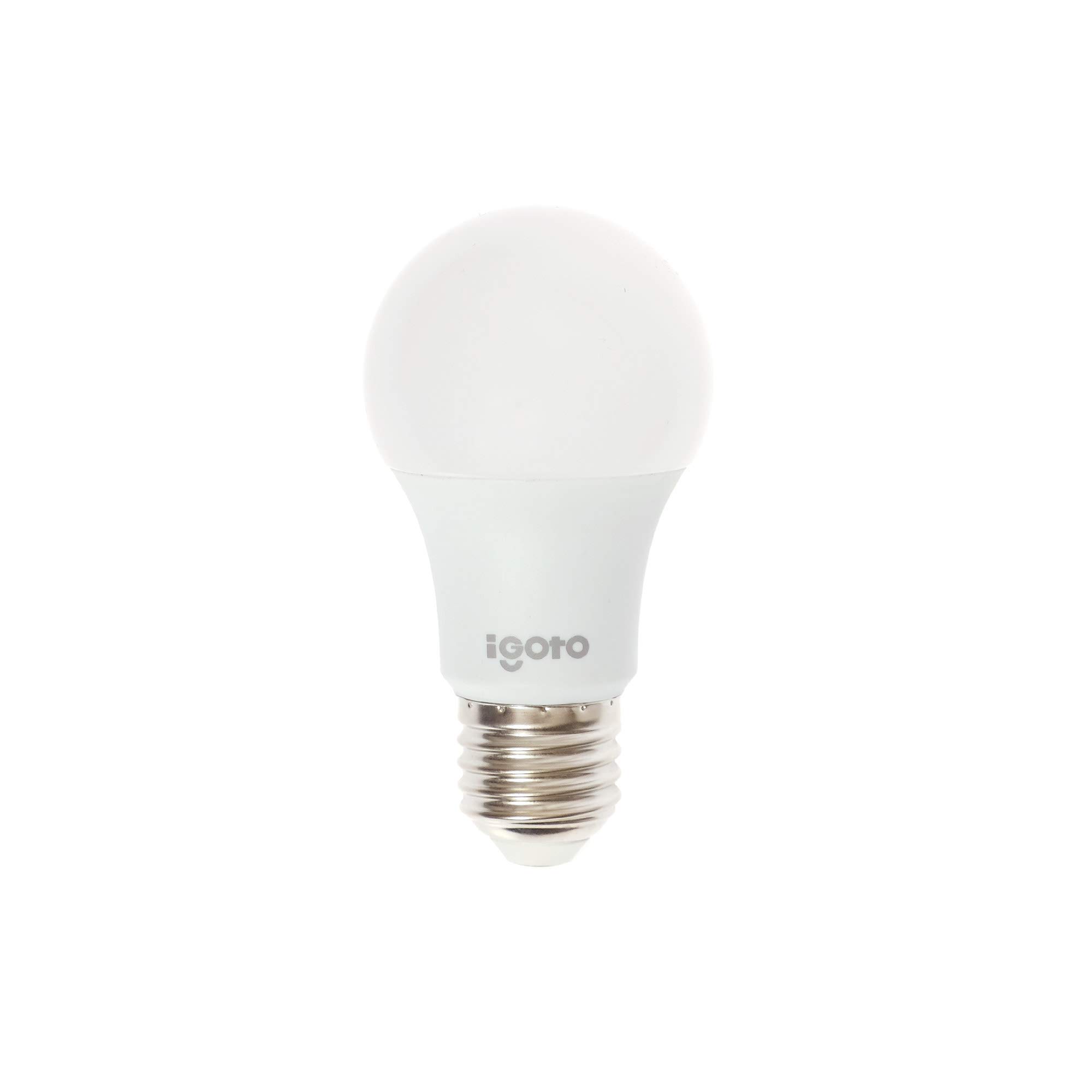 iGoto F10204 Foco led G45, 4W Luz Fría : Amazon.com.mx: Herramientas y ...