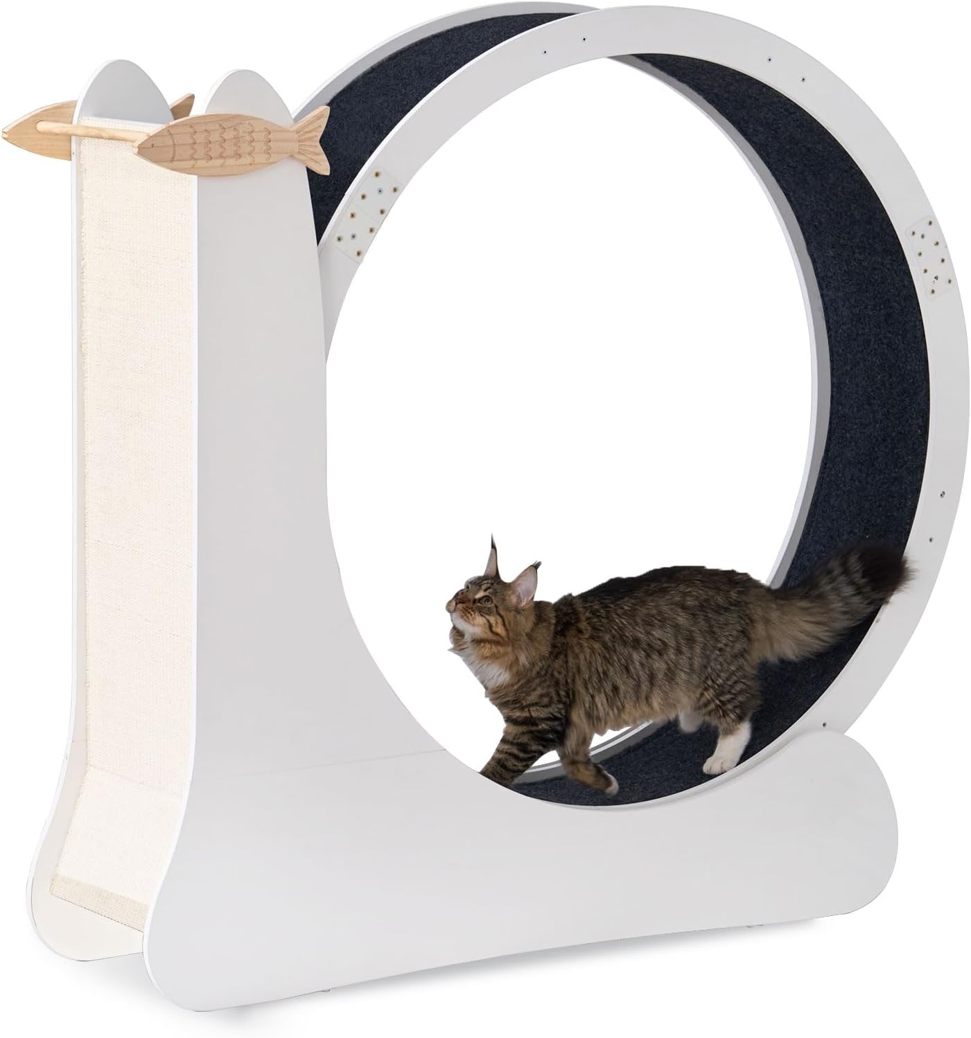 Amazon.com : SogesPet Cat Wheel for Indoor Cats, Upgraded Cat Running ...