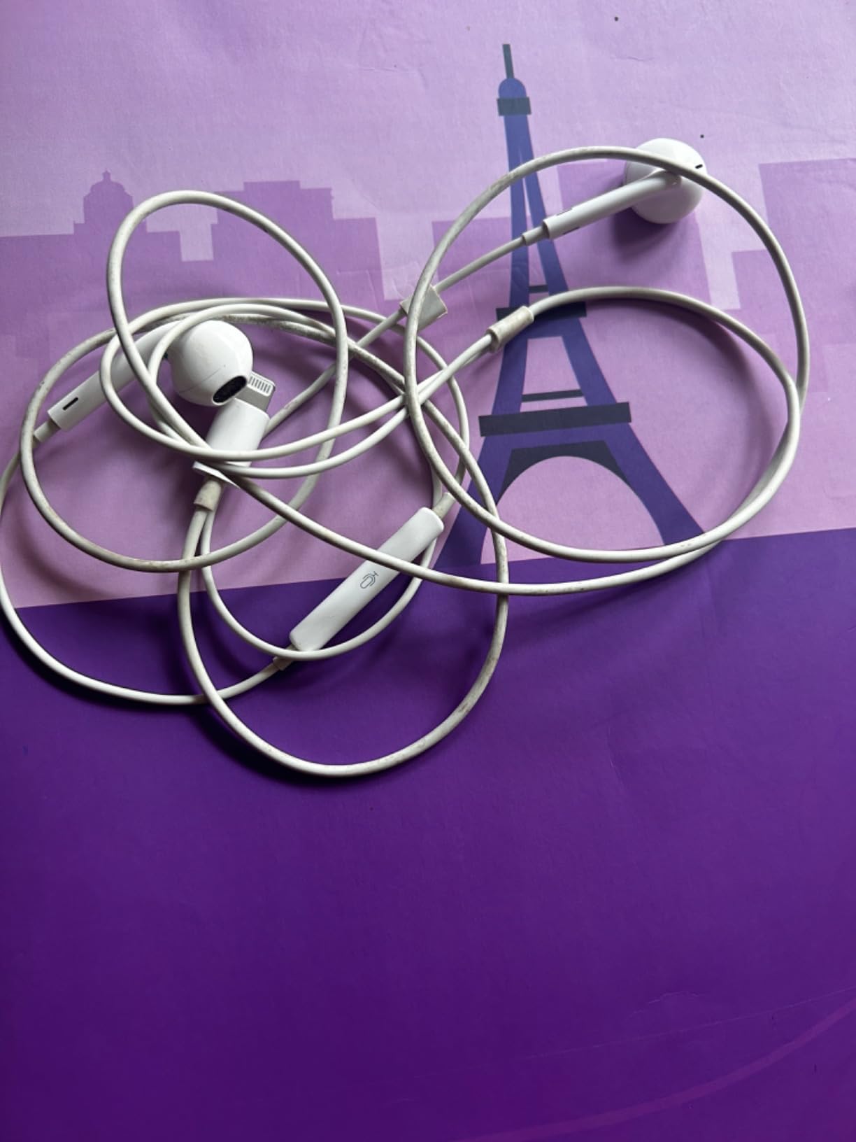 Apple Wired in Ear Earpods with Lightning Connector : Amazon.in ...