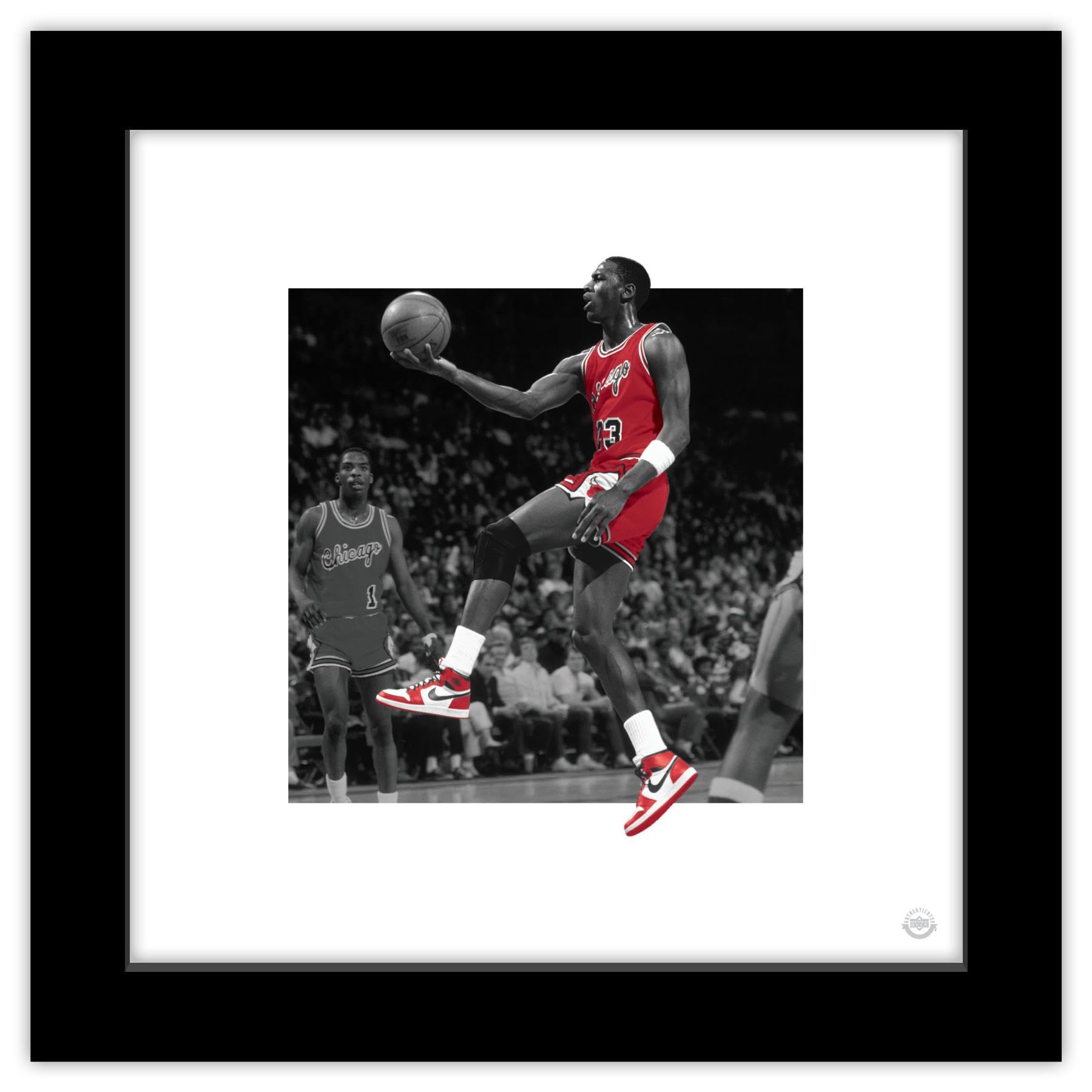 Amazon.com: Trends International Gallery Pops Michael Jordan - Rookie ...