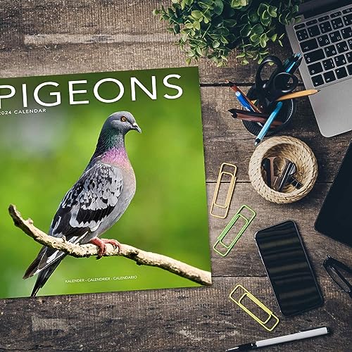Snapklik.com : 2023 2024 Pigeons - Bird Watcher Monthly Wall Calendar ...