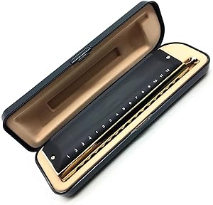 Amazon.com: Chromatic Harmonica 16 Hole ABS Comb Musical Instrument ...