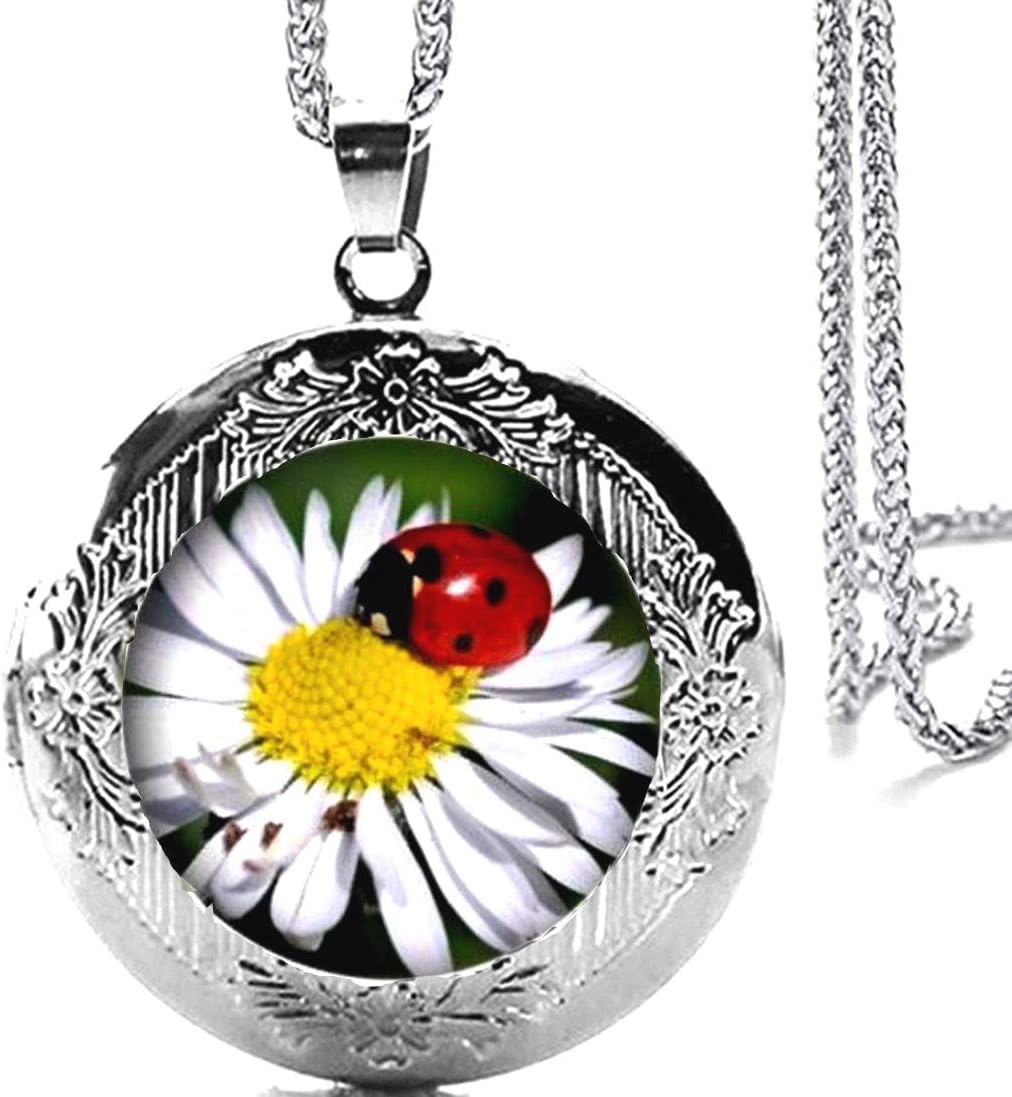 Amazon.com: DianaL Boutique Silver Tone Beautiful Ladybug and Daisy ...