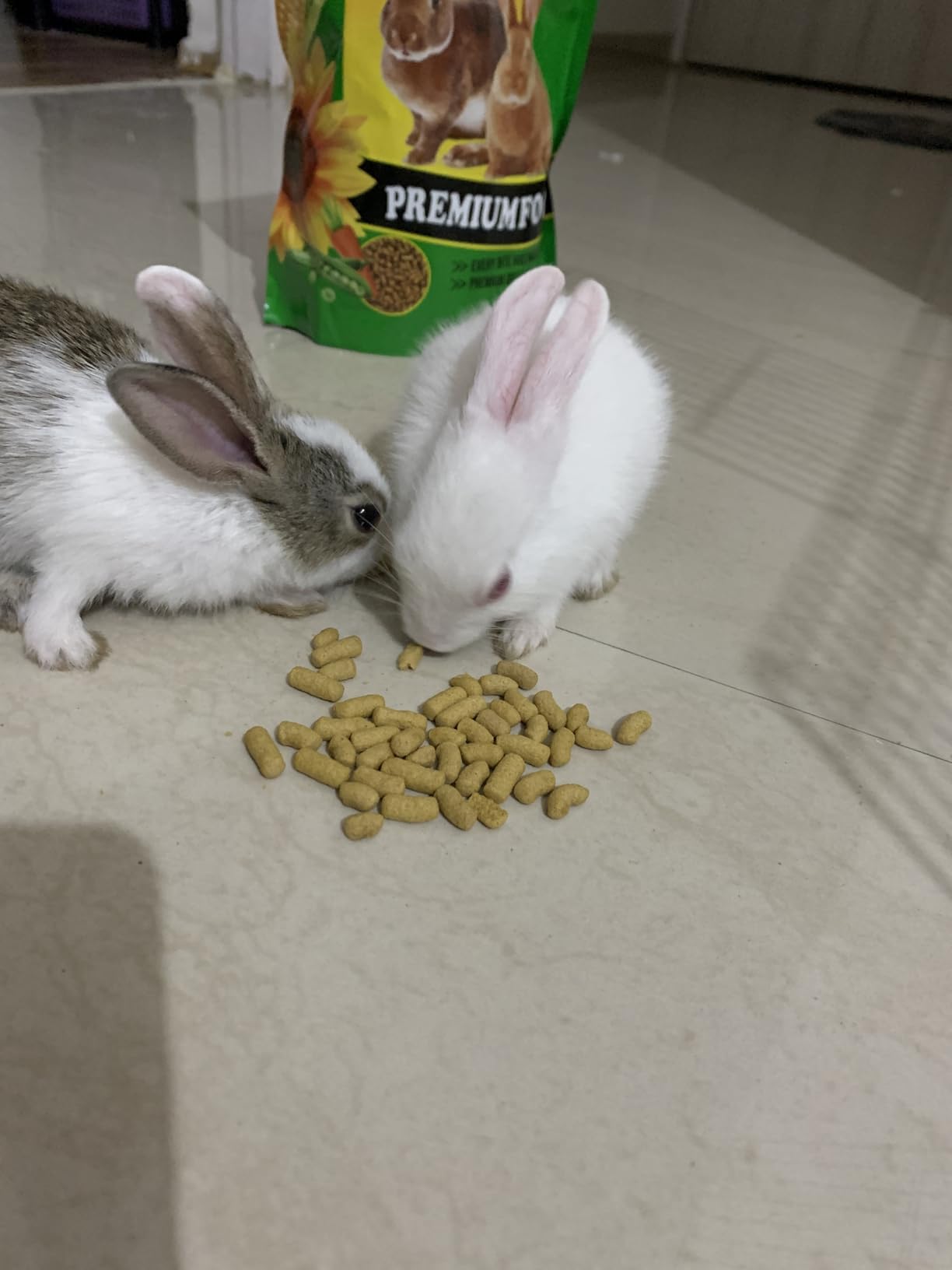 Buy PETSLIFE Rabbit Premium Food Pellets with Essential Nutrients and ...