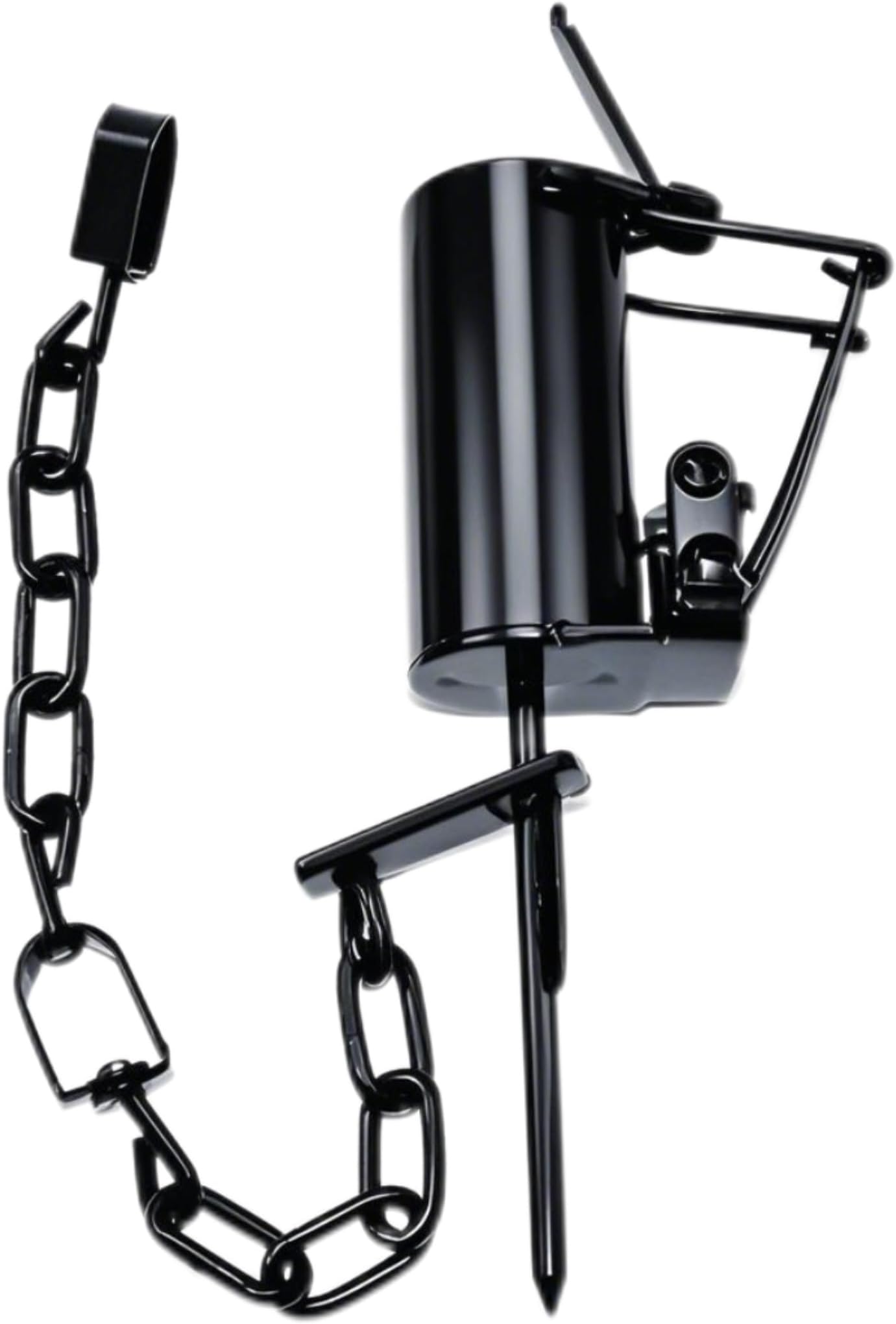 Amazon.com : Live Animal Trap for Raccoons Heavy Duty Dog Proof Raccoon ...