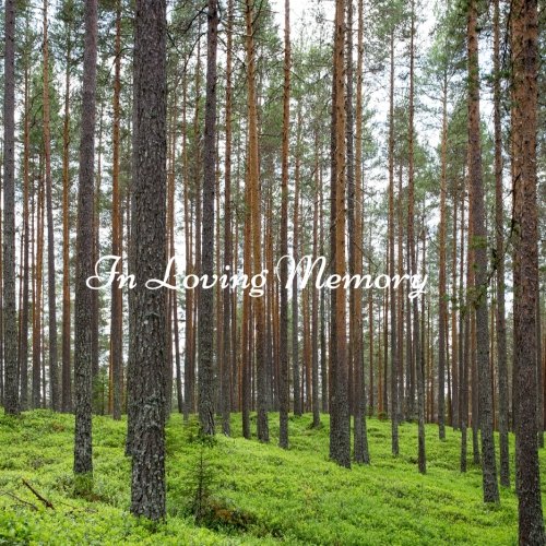 In Loving Memory: Large Square Design Celebration of Life, Condolence ...