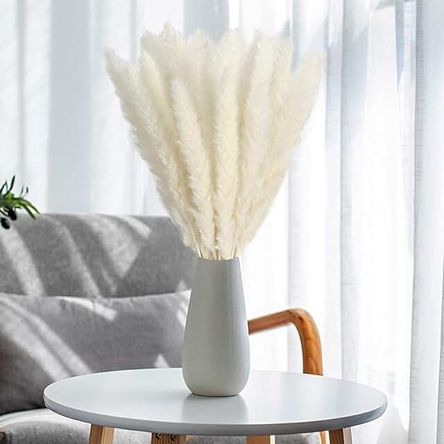 Amazon.it: piume decorative