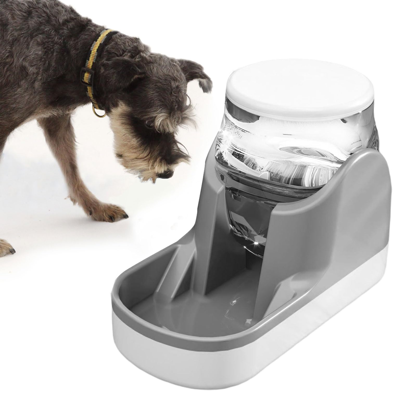 Amazon.com : kathson Automatic Dog Water Dispenser 1 Gallon Gravity Cat ...
