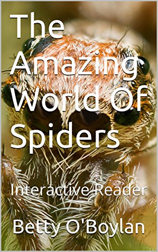The Amazing World Of Spiders: Interactive Reader eBook : O'Boylan ...