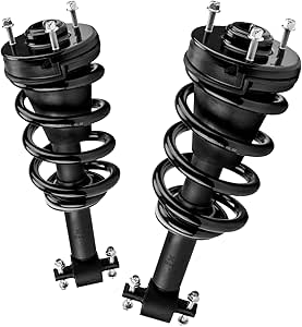 Amazon.com: Zoncar Rear Complete Shock Absorbers Assembly with Coil ...