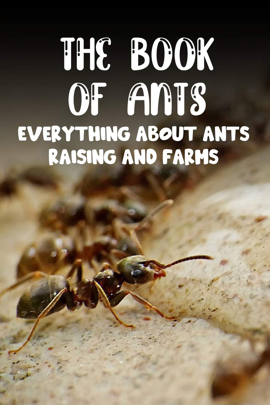 The Book Of Ants Everything About Ants Raising And Farms | Desertcart OMAN