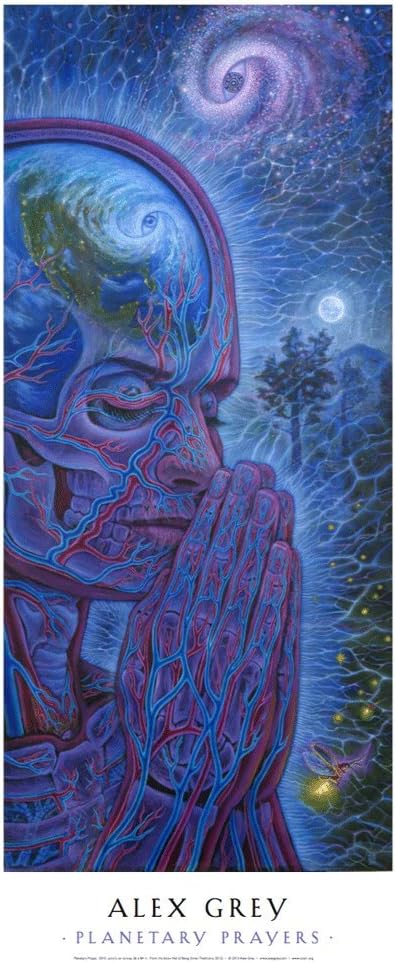 Amazon.com: Alex Grey - Planetary Prayers - Poster: Posters & Prints