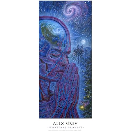 Amazon.com: Alex Grey - Net of Being - Poster: Posters & Prints