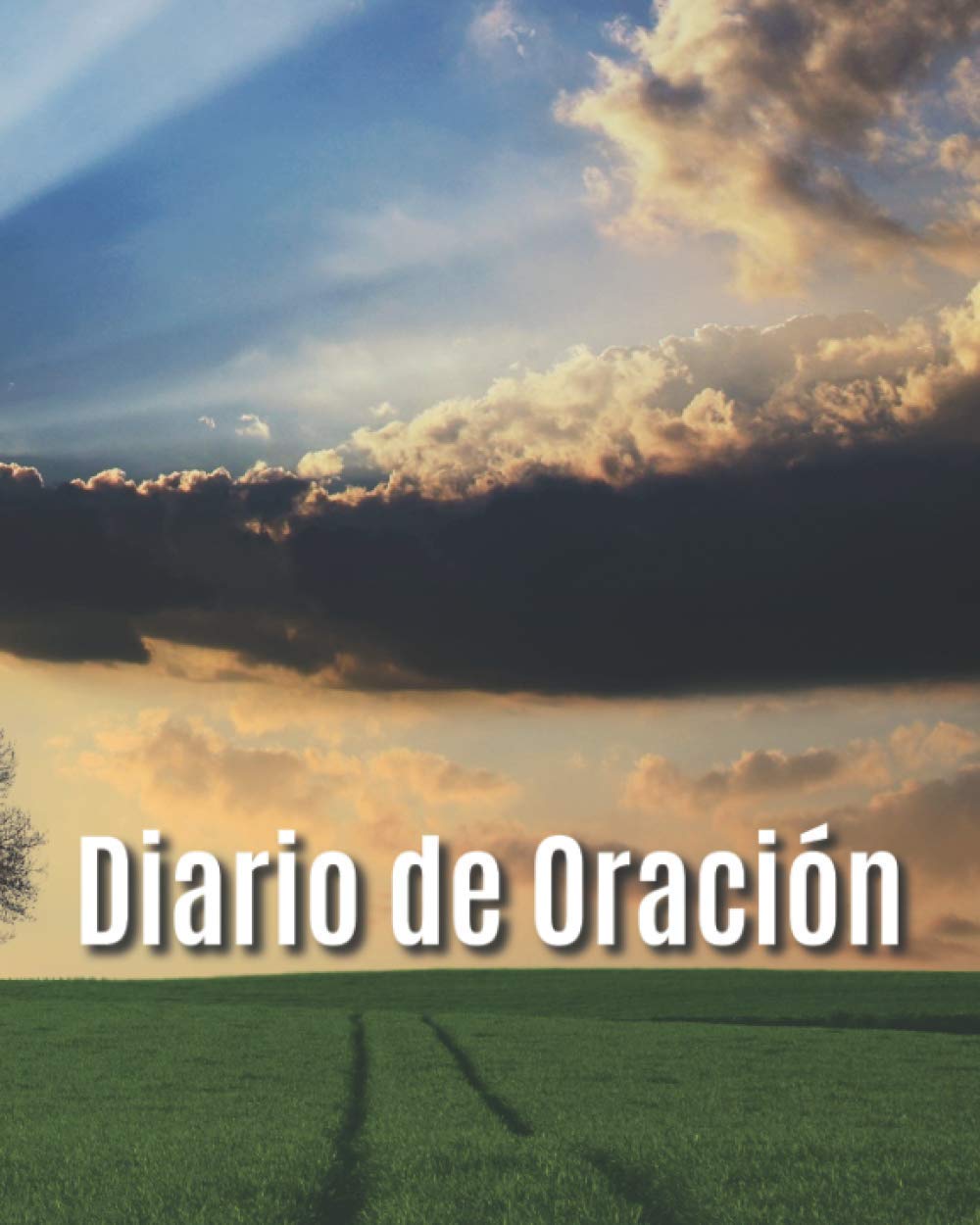 Buy Diario de Oración: Diario de oración: Un cuaderno para tomar notas ...