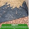 Amazon.com : Farm Plastic Supply - Weed Control 4 Mil Black Plastic ...