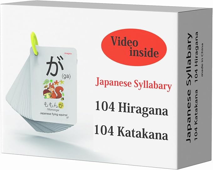 Amazon.com: 107 Japanese Hiragana and Katakana Syllabary Alphabet Flash ...